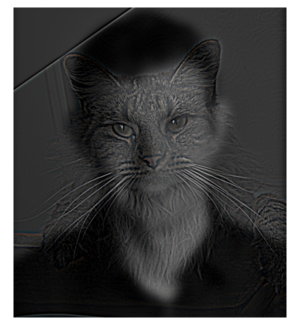 CS280A Course Projects - ZHOU Guanren